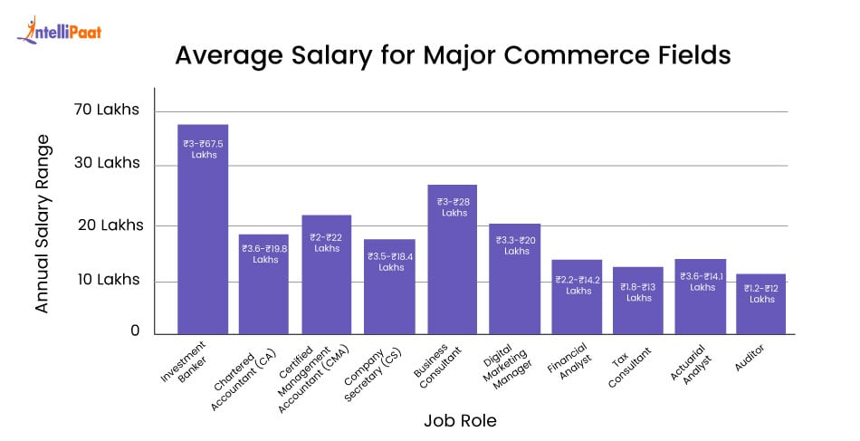 Top Commerce Career Options: A Guide for Aspiring Professionals