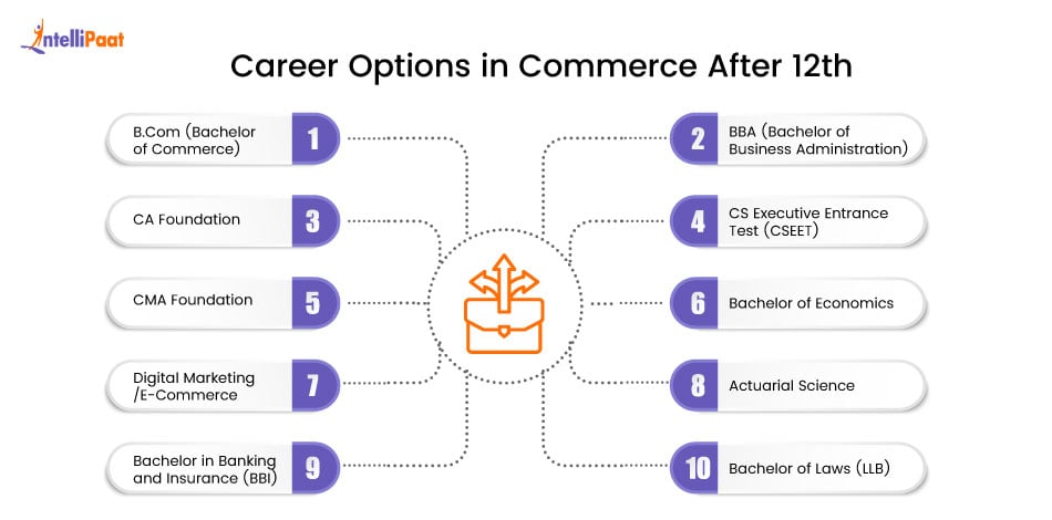 Top Commerce Career Options: A Guide for Aspiring Professionals