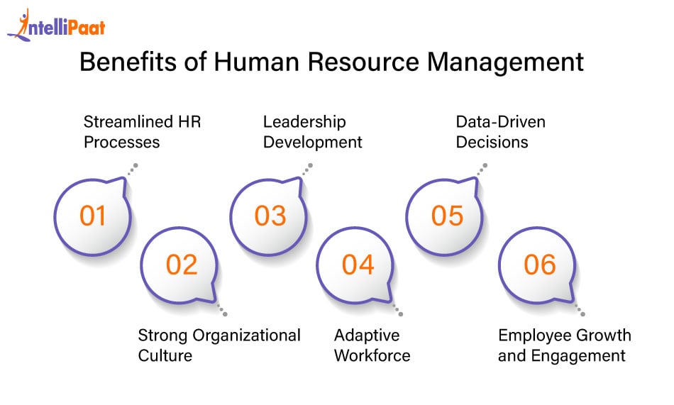 Human Resource Management: Meaning, Functions & Process