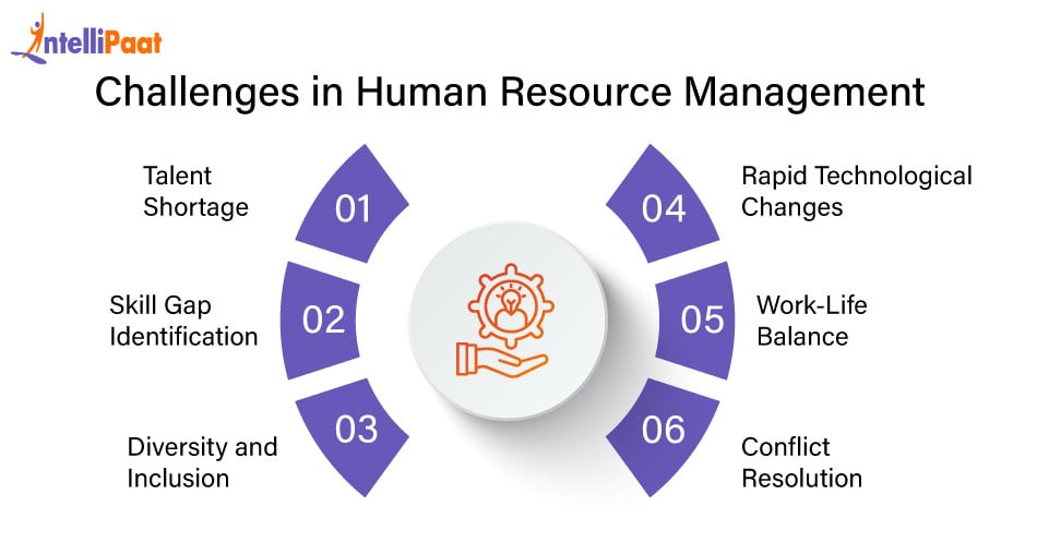 Human Resource Management: Meaning, Functions & Process