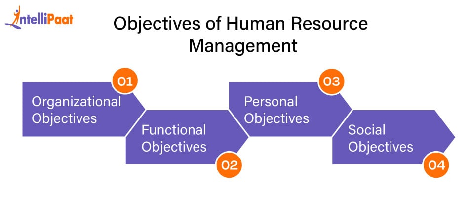 Human Resource Management: Meaning, Functions & Process
