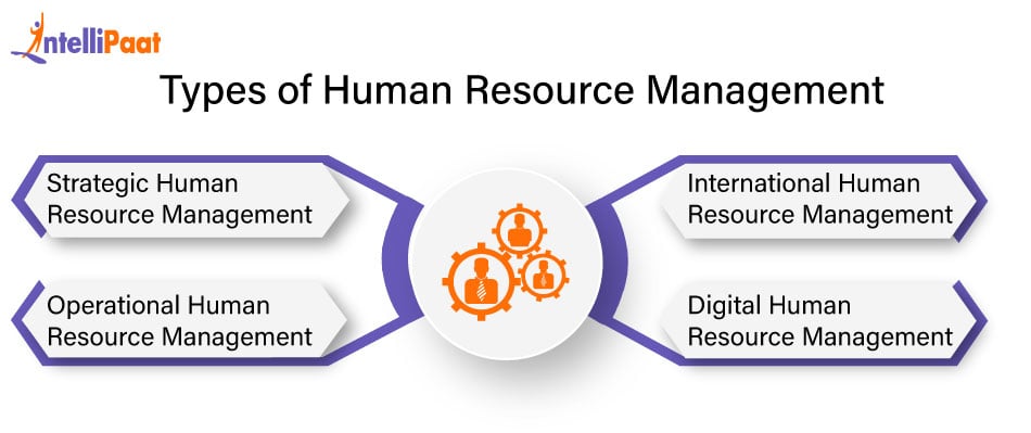 Human Resource Management: Meaning, Functions & Process